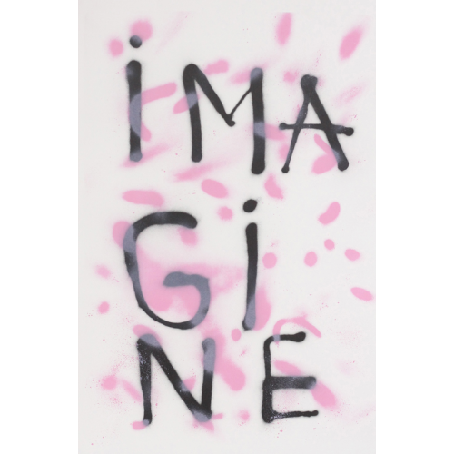 Imagine Constellation rose